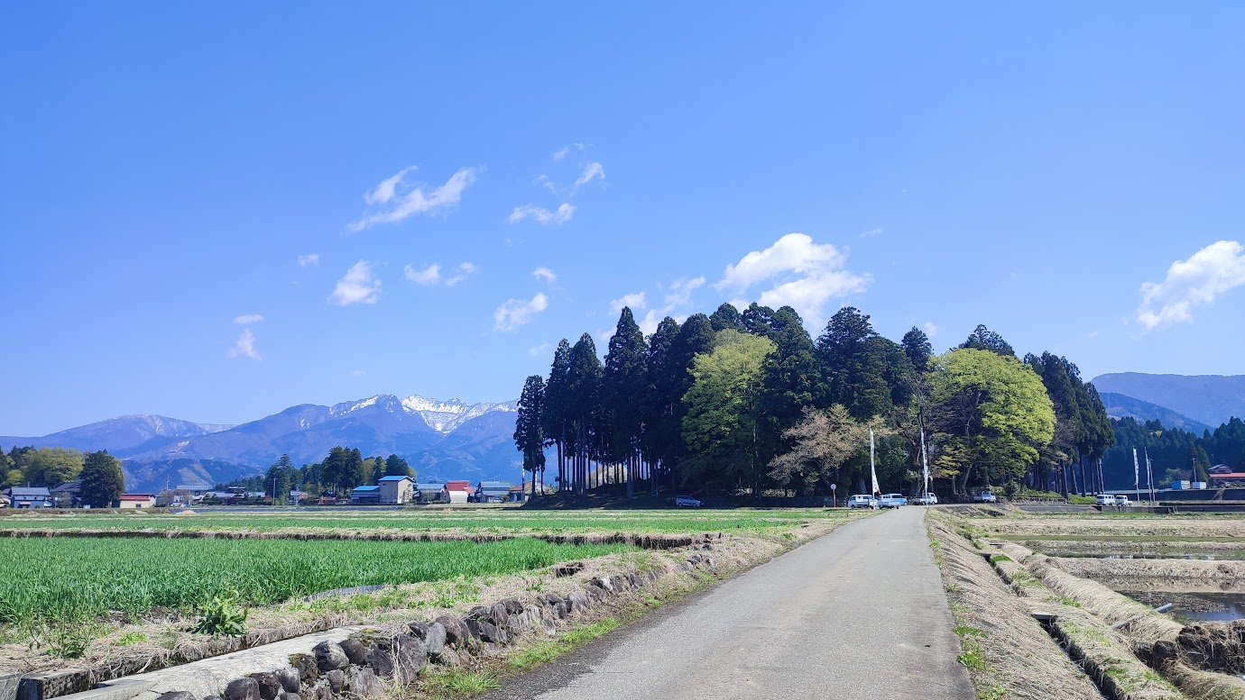 周辺案内 | 空き家を活用した大野の民泊宿「ねこばやし」